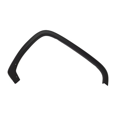 Fender Trim Molding Moulding Front Passenger Right Side Hand 22775551 ...
