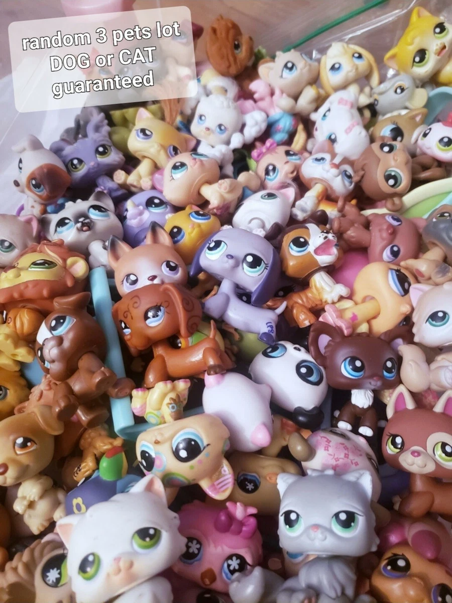 Littlest Pet Shop Cat Ebay