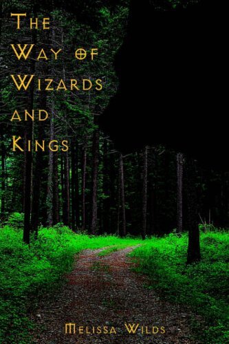 The Way of Wizards and Kings by Wilds New 9781420861433 Fast Free ...