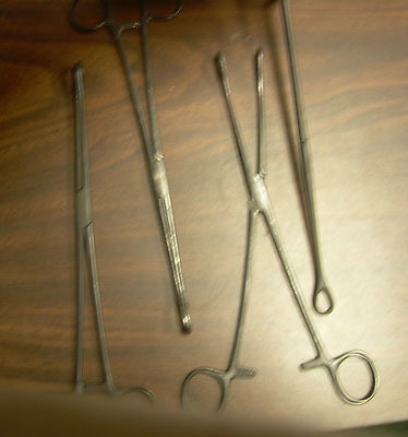 9" Sponge Holding Serrated Loop Forceps Surgical Instruments Lot of 4 ...