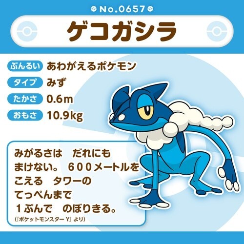 Pokemon Center Original Plush Doll Pokémon fit Frogadier #657 Kalos ...