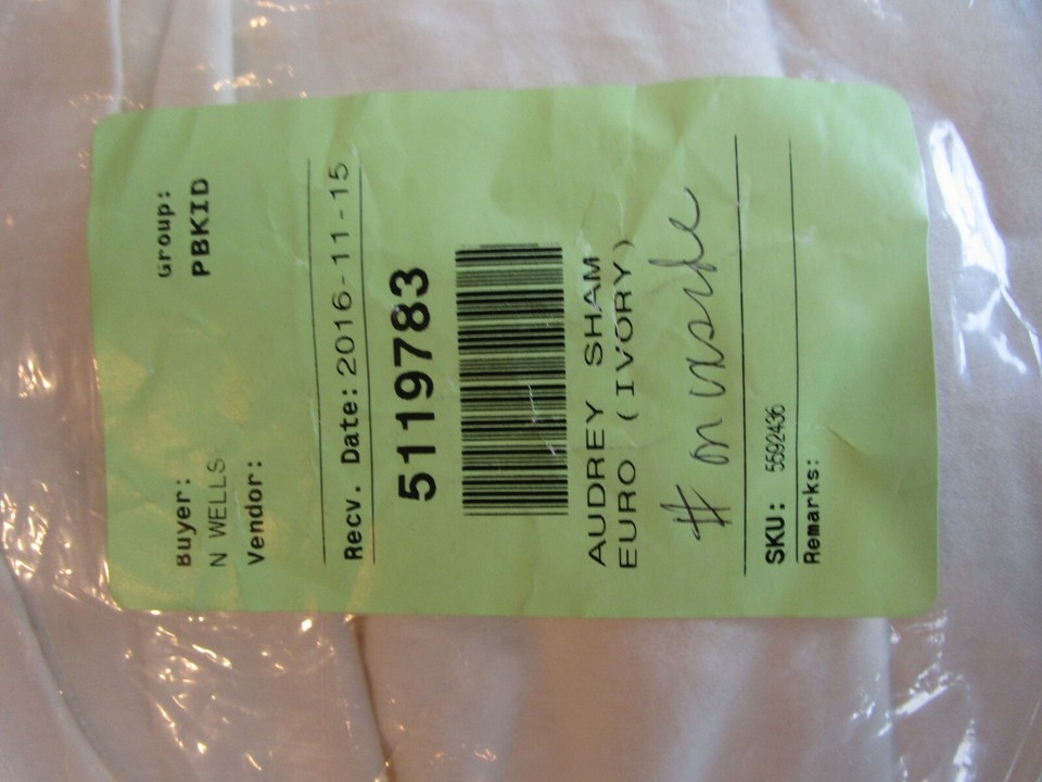 Pottery Barn Kids Audrey Euro ivory sham quilted photo shoot sample | eBay