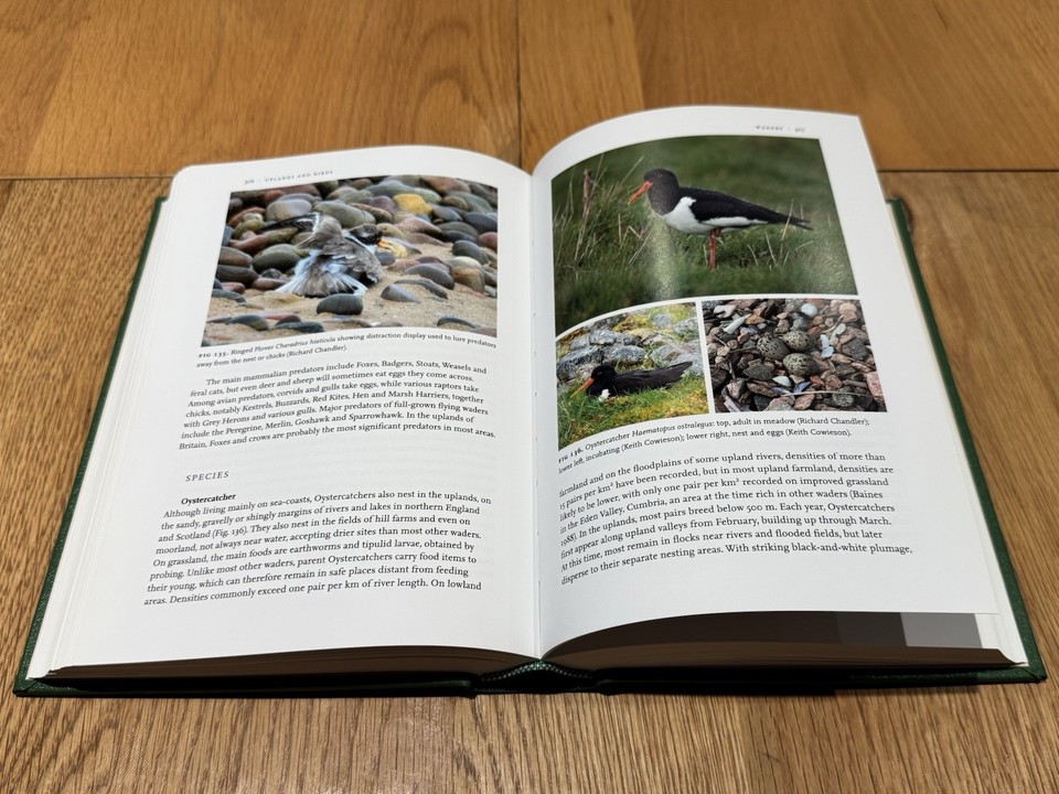 Collins New Naturalist Library - Uplands and Birds 9780008298500 | eBay UK