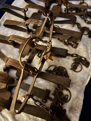 11 Northwood Number 2 Double Long Spring Leg Hold Trap | eBay