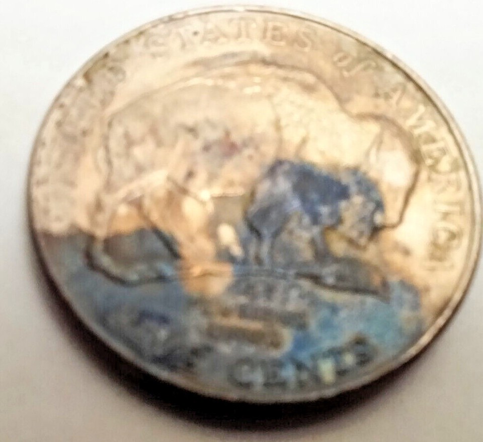 Rare 2005 D Buffalo Nickel Large Spot | eBay