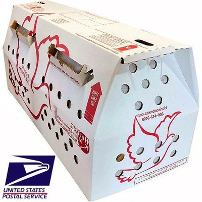 10 Best USPS Approved Live Bird Shipping Boxes - Your Ultimate Buying ...