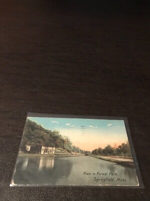 VINTAGE POSTED POSTCARD VIEW IN FOREST PARK, SPRINGFIELD, MASS / 1910 ...