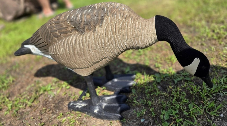 Hollow Hunting Decoy Goose Big Foot Original Used Geese | eBay