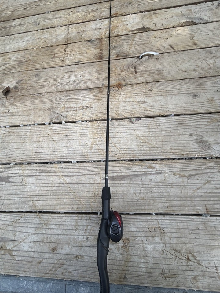 Quantum Pulse Baitcast Fishing Reel, Size 100 Right-Hand Retrieve, 6.6 ...