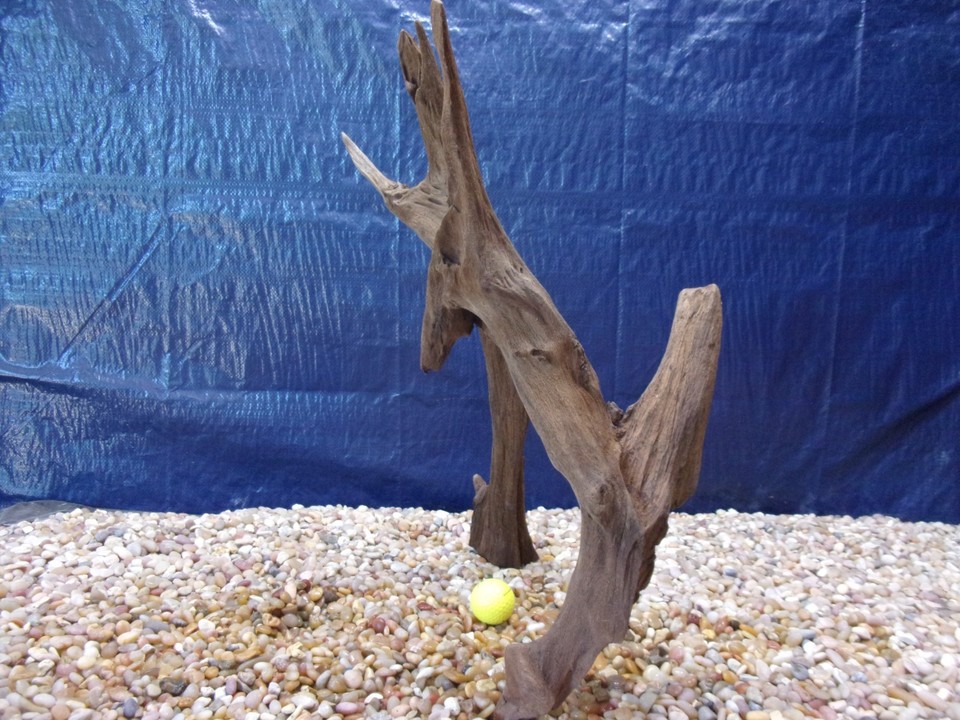 X-Large Driftwood 22"x16"x09" Aquarium Terrarium Reptile Natural Art | eBay