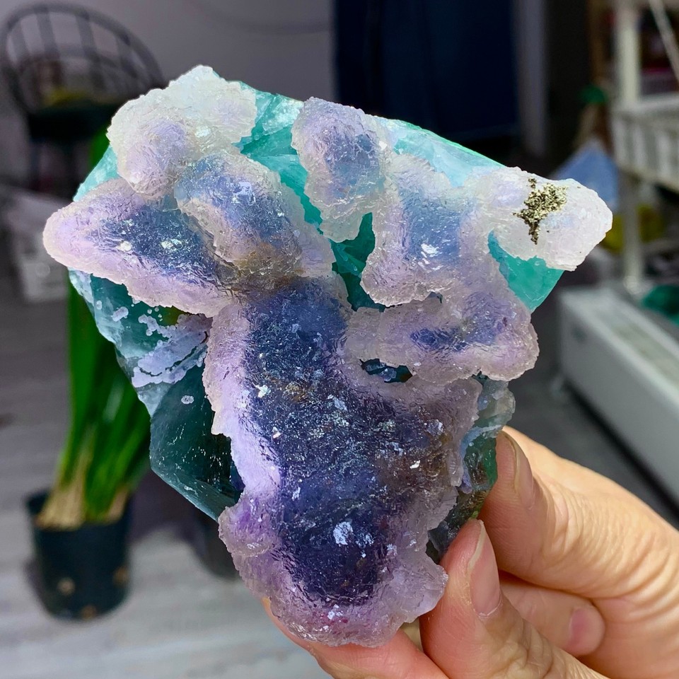 442G Natural transparent purple cubic fluorite mineral sample Inner ...