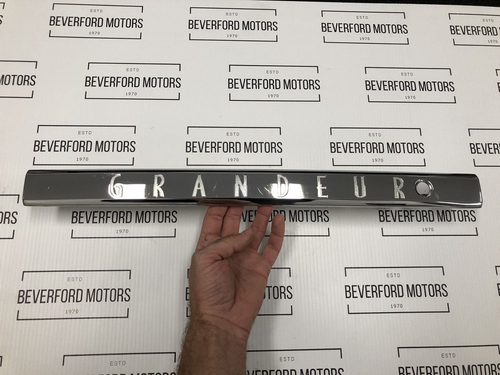 Hyundai XG Grandeur Boot Panel Garnish 87361-39000 98 / 05 | eBay Australia