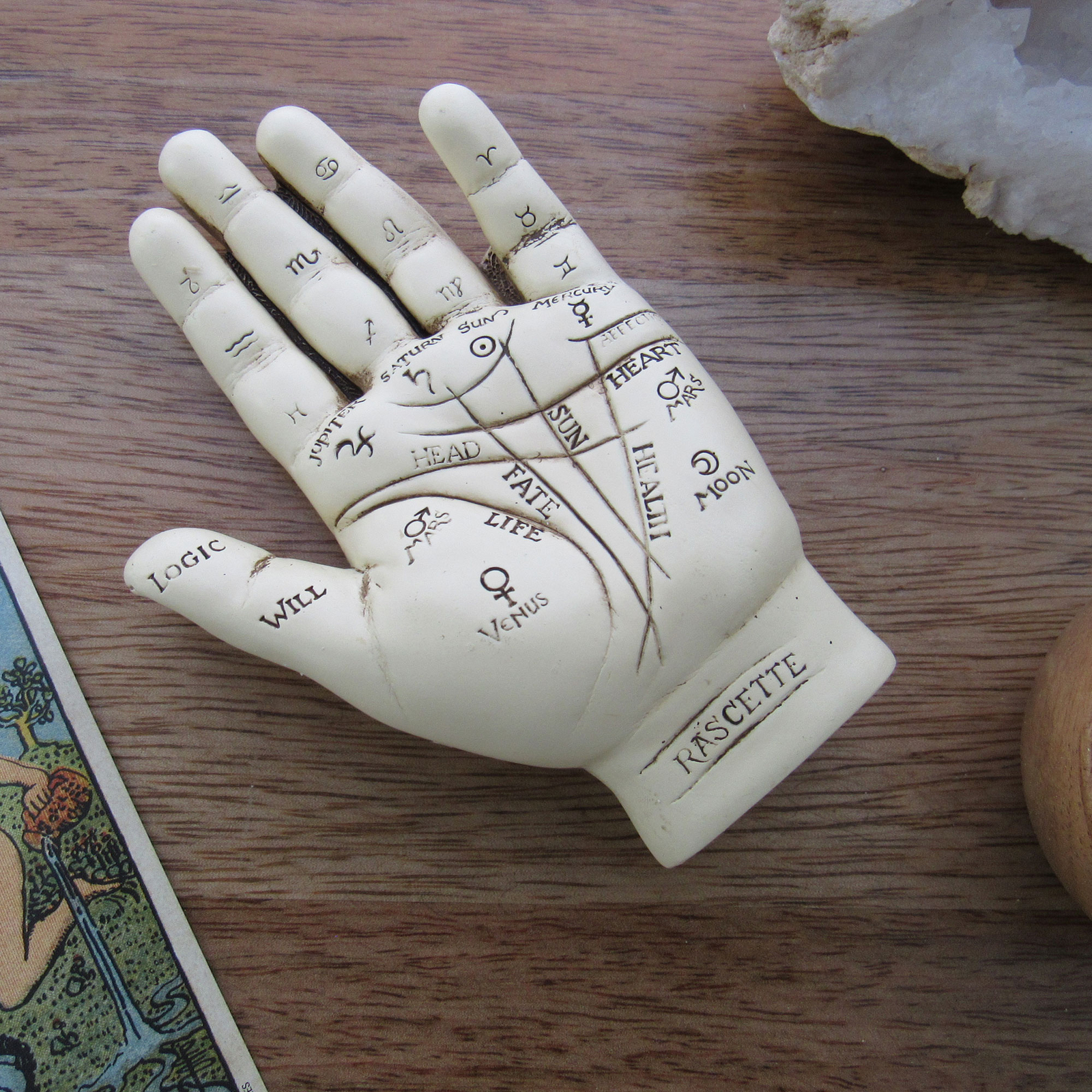 NEW Palmistry Hand Model Resin Sculpture w/ Booklet Fortune Telling ...