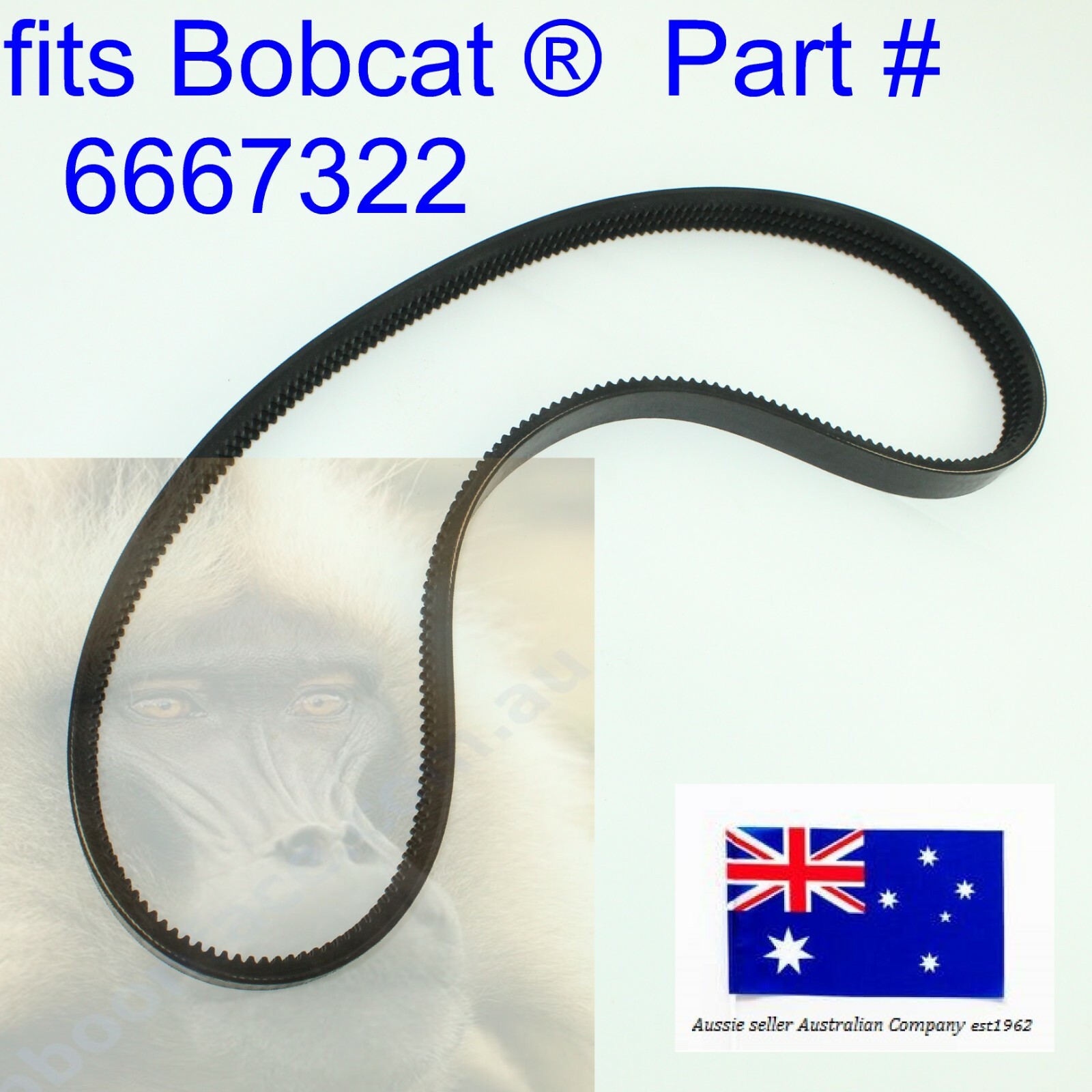 fits Bobcat Main Hydraulic Pump EPDM Drive Belt 6667322 653 751 S130 ...