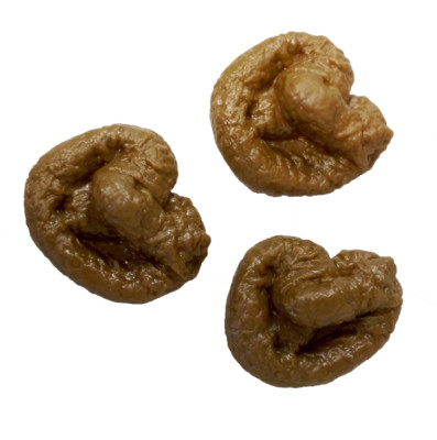 Fake Dog Poo Poop Prank Gag Joke 3 Pk | eBay