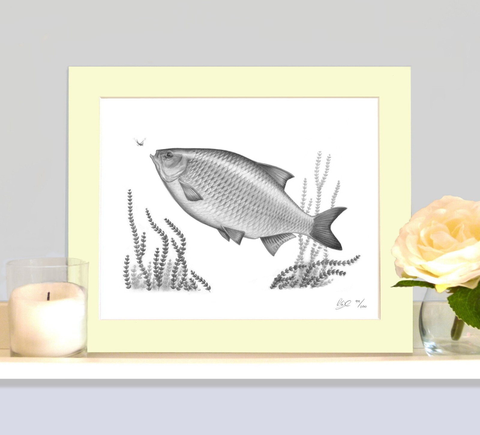 RUDD Limited Edition Fish Picture Drawing Print Fishing Gift ...