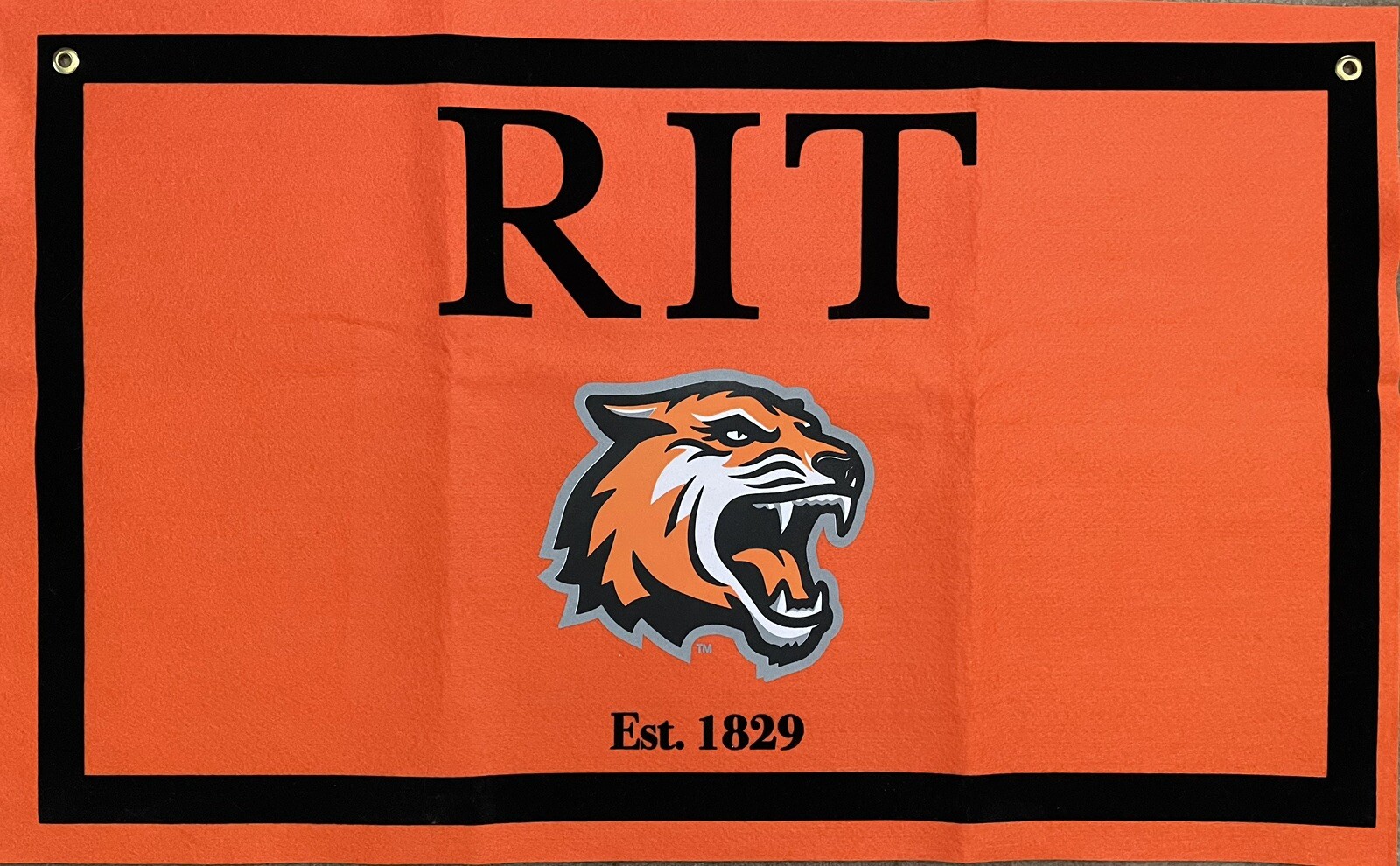 Rochester Institute of Technology RIT TIGERS Wool/Felt BANNER 30” x 18 ...