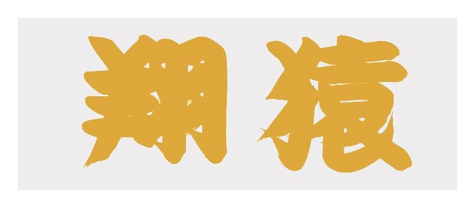 Sumo Support Towel Tobizaru Thick Soft Material 33x87cm New Official | eBay