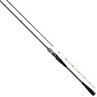 New Alpha Tackle Alpha Tackle Rod Boat Rod Light Game FT 73 190M ...