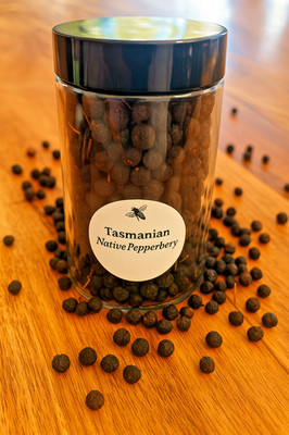 Whole Air-Dried Tasmanian Pepperberry (Tasmannia lanceolata) - 100 ...