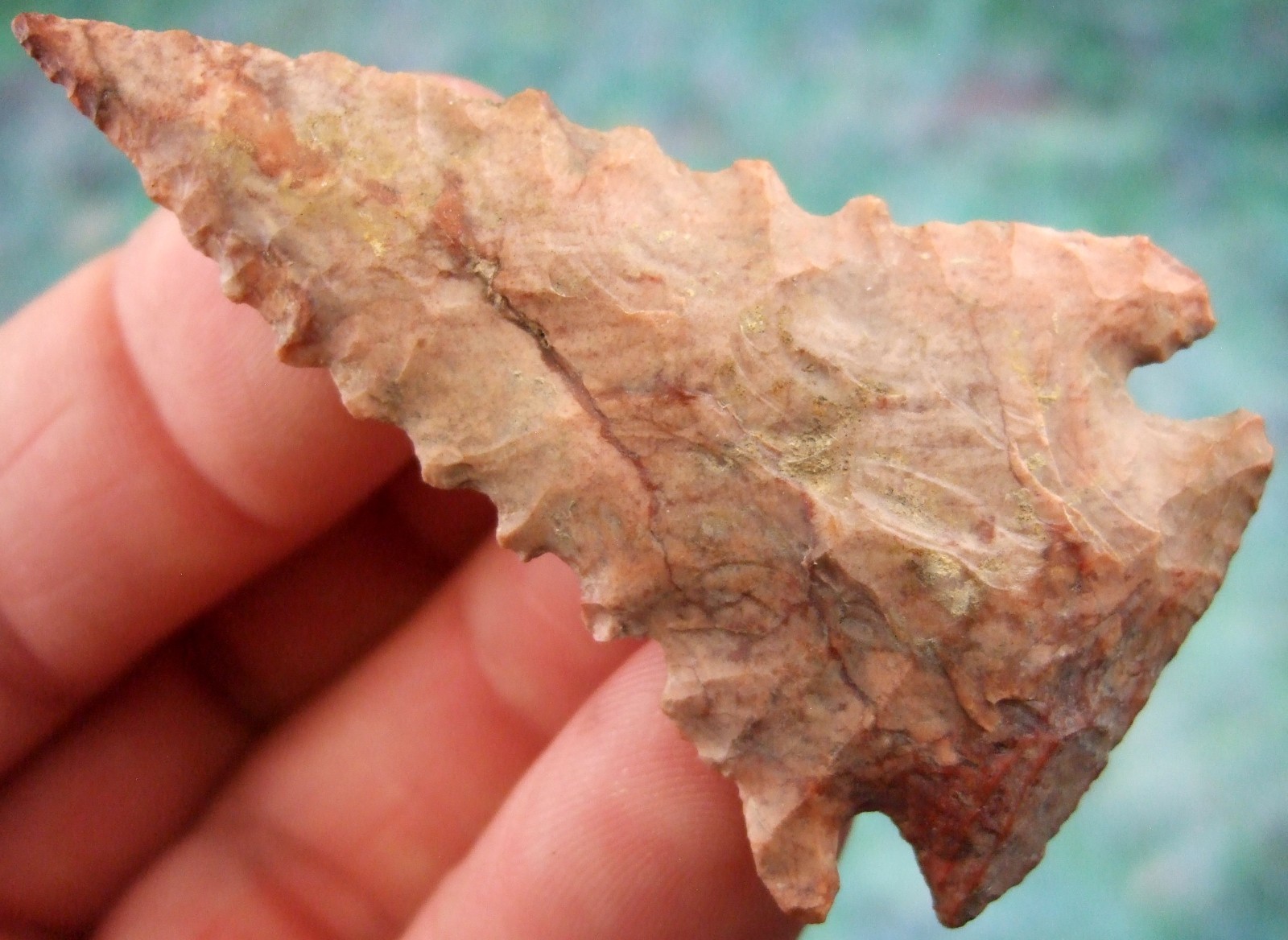 Super Fine Colorful Serrated Alabama Pine Tree Point with Insight COA ...