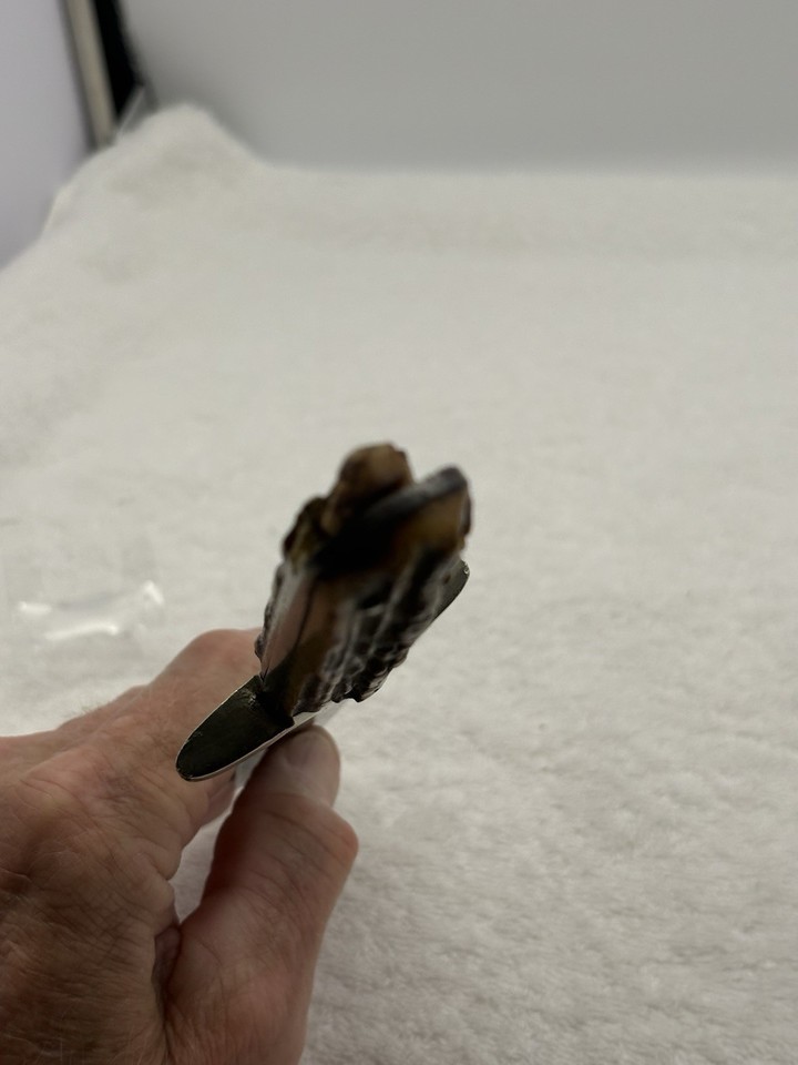 Challenge Cutlery Co Fixed Blade Knife Made In Sheffield England (#7 ...