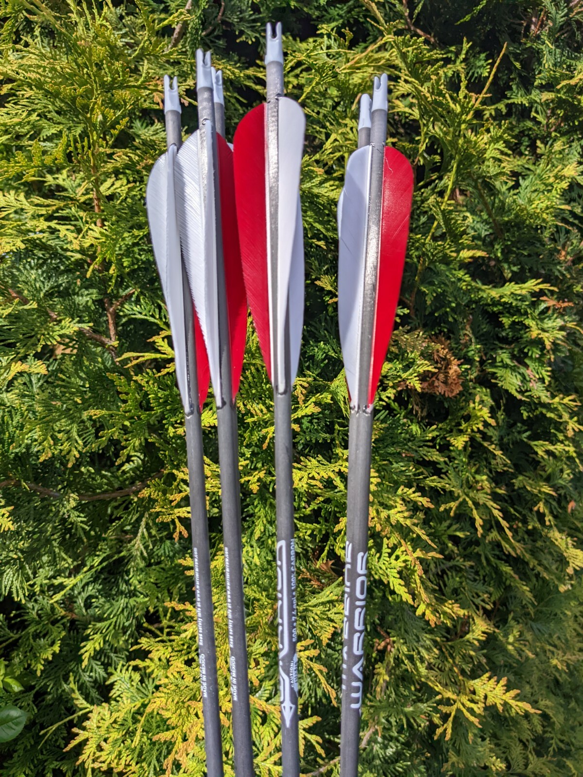 Gold Tip Warrior Carbon Arrows. 700, 600, 500, 400, 340, or 340. 6 Pack ...