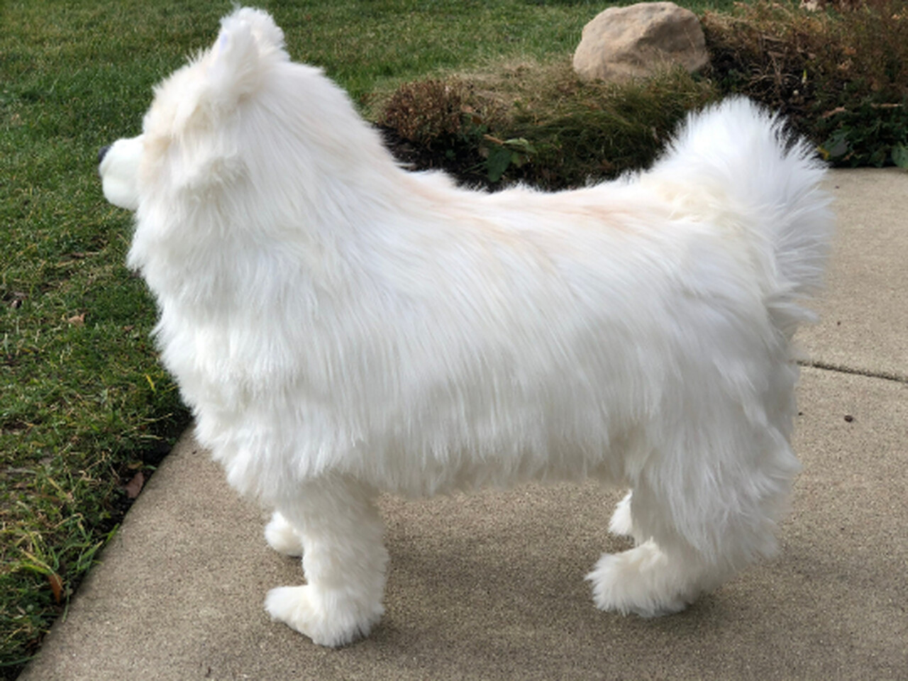 Auswella Samoyed Plush Dog - Stuffed Animal- Realistic Collectors ...