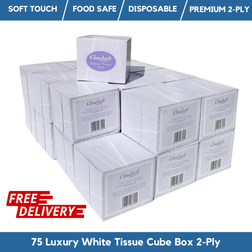 Extra Soft White Tissue Facial Tissue Cube Box Tissue 75 per Box 2-Ply ...