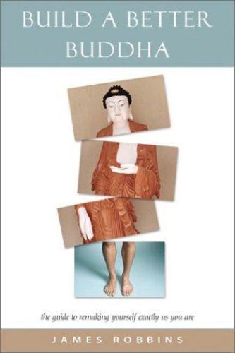 Build a Better Buddha : The Guide to Remaking Yourself Exactly As You ...