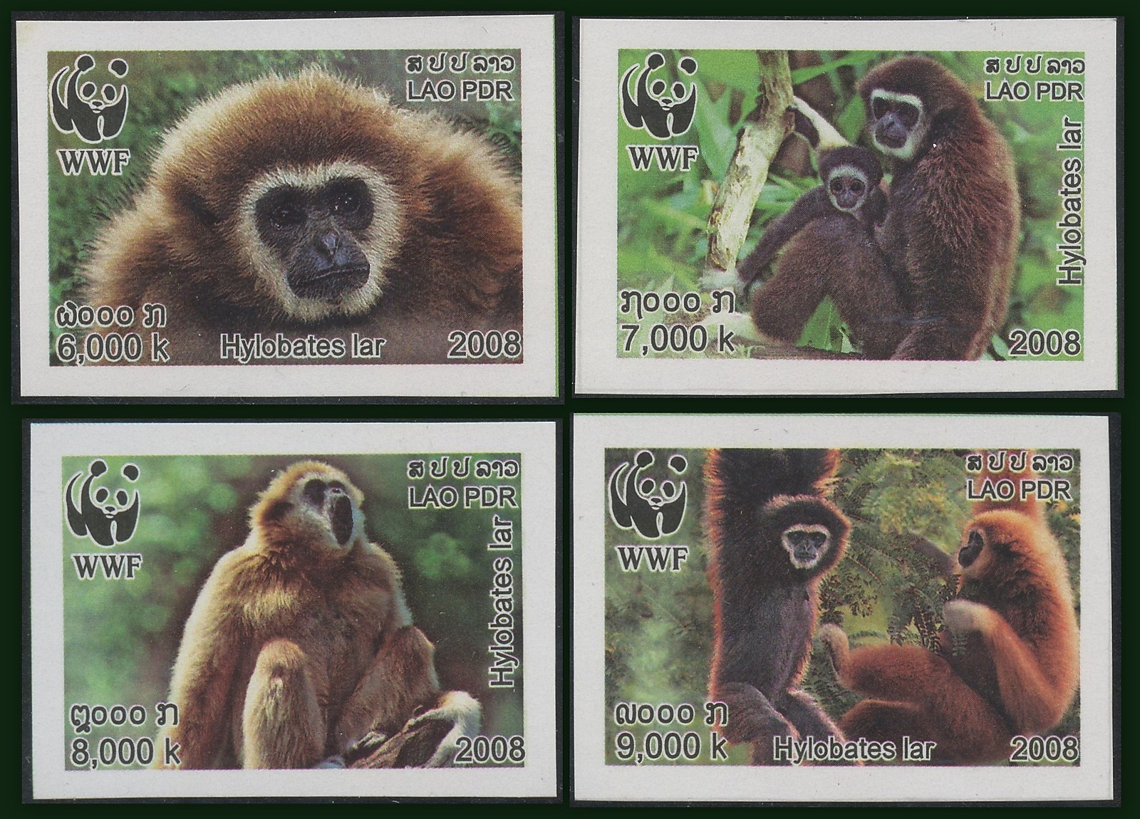 Laos N° 1682/1685 ** IMPERF, Monkeys " Gibbon Lar ", 2008 Monkey Imperf ...