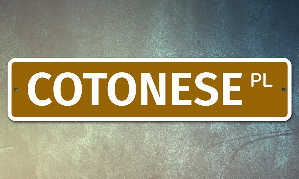 5708 SS Cotonese 4" x 18" Novelty Street Sign Aluminum | eBay