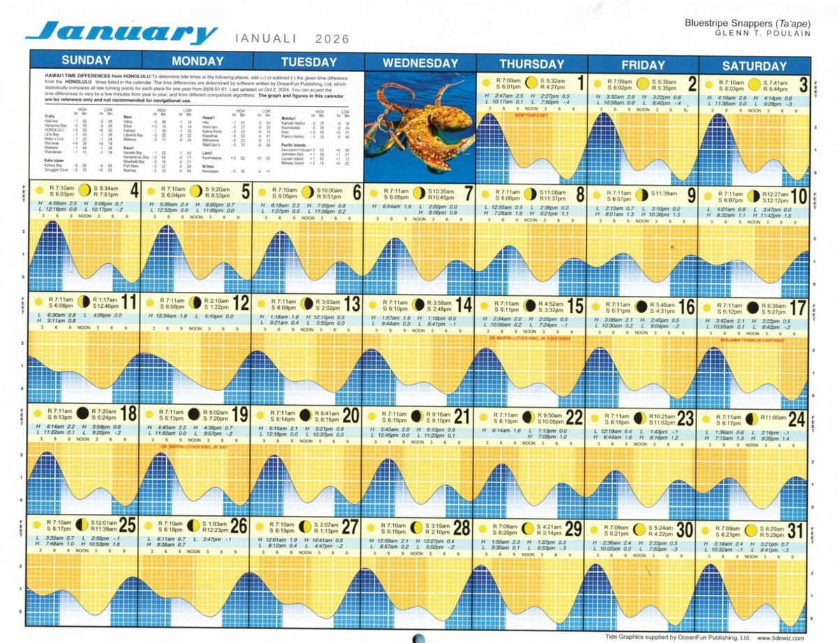 Hawaii Tide Chart