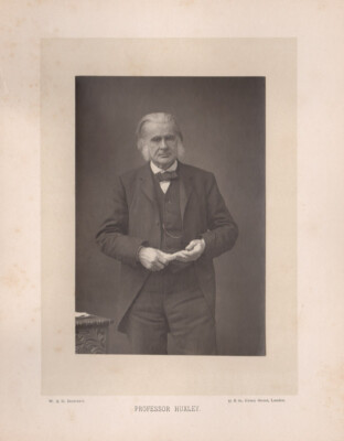 Professor Huxley | eBay Australia