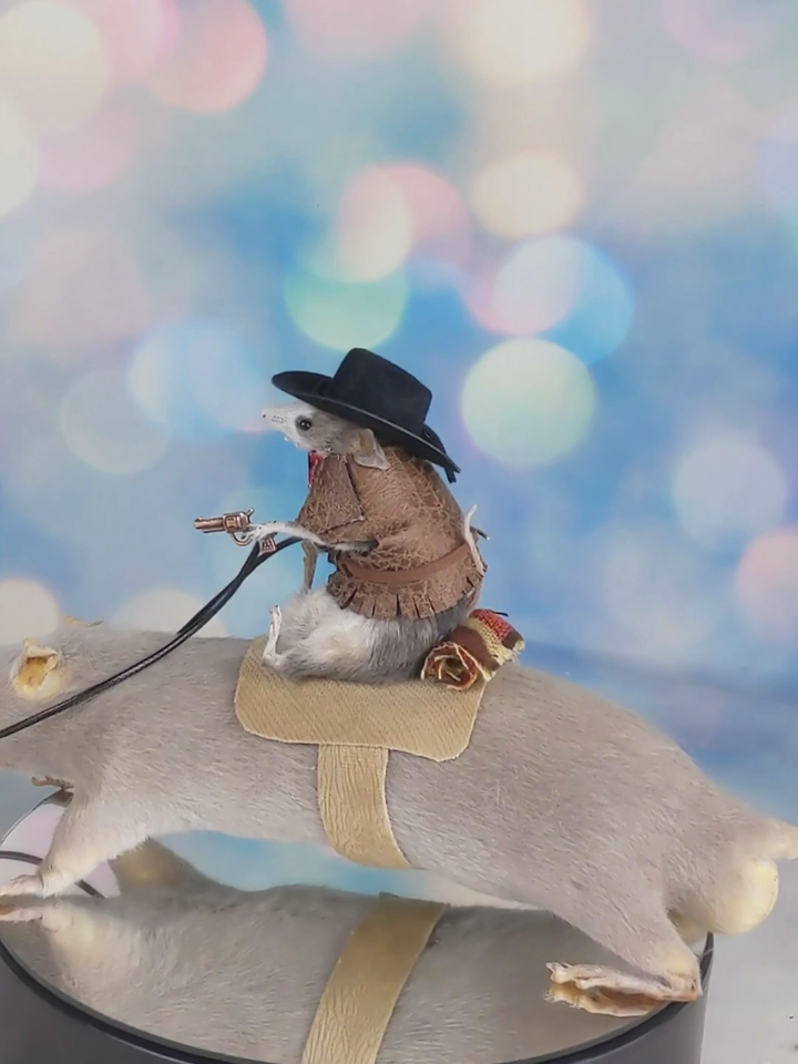 Cowboy Mouse Riding Rat Cute Real display Taxidermy Oddity Curiosity ...