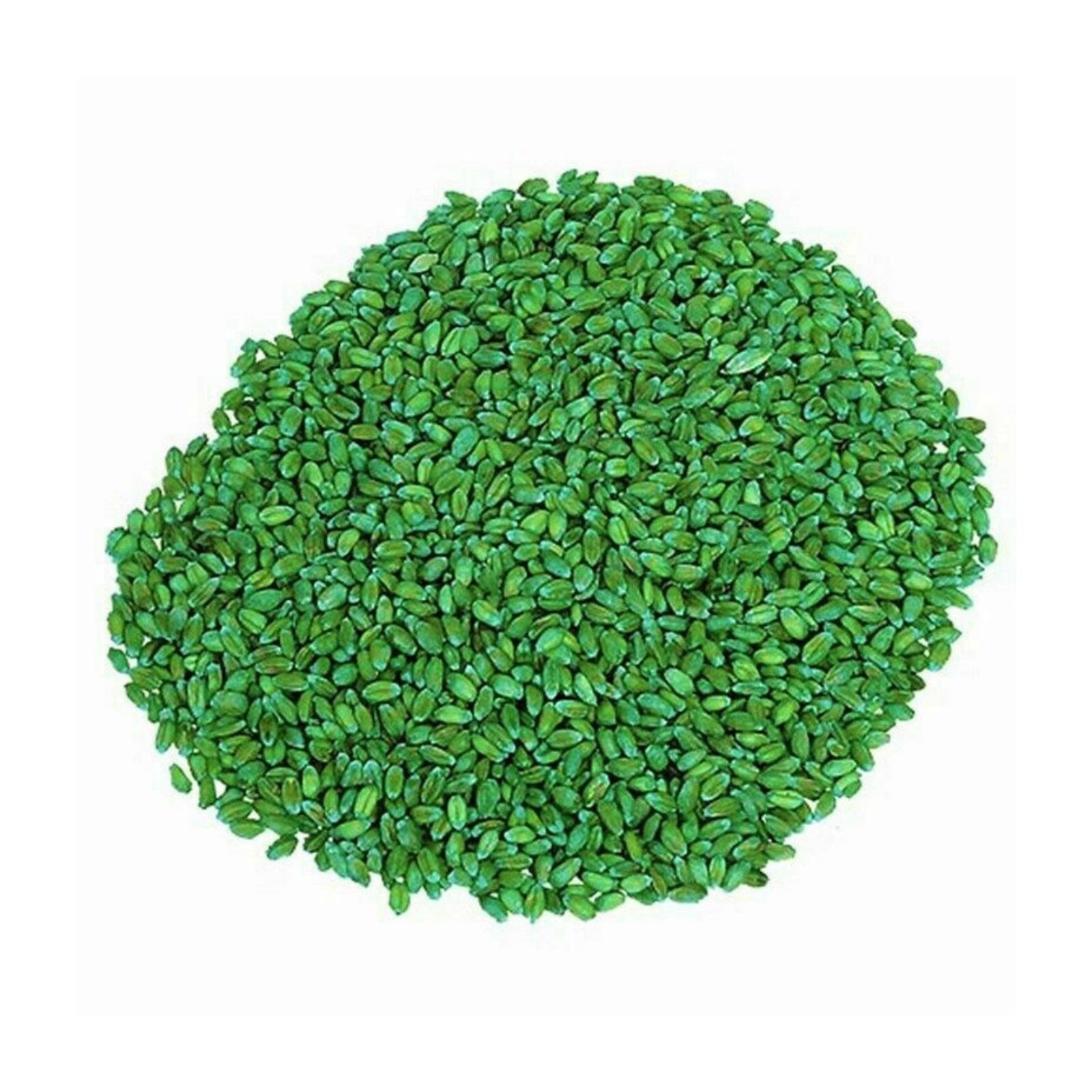 Lodi Jade Grain Bait Rat & Mouse Rodent Killer Poison (10 x 150g Bait ...