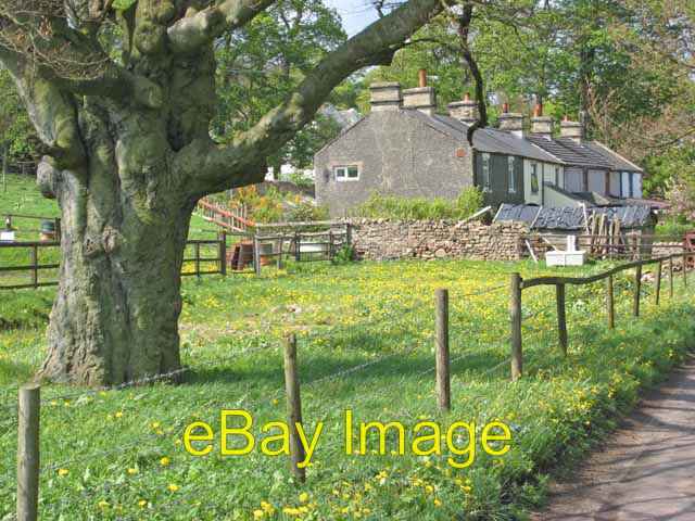 Photo 6x4 Cottages at Great Chilton c2007 | eBay