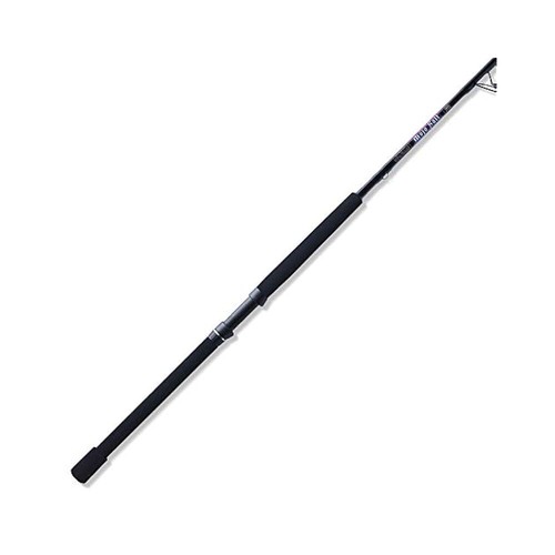 Saltwater Fishing Rod, Smooth Action, Superior Feel & Increased ...