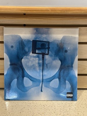 SIGNED GATEFOLD - Lorde VIRGIN X-Ray Picture Disc Vinyl LP [SHIPS NOW ...