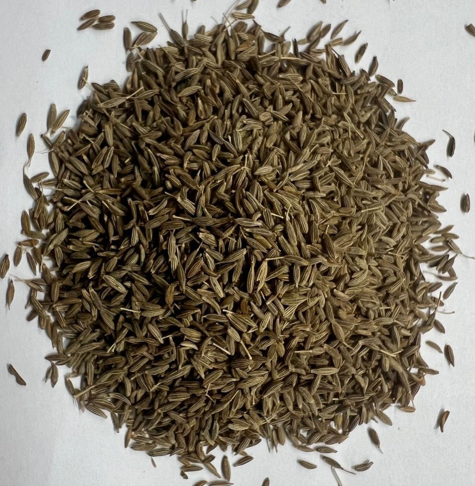 Bulk Wholesale Seasoning, Herbs & Spice (select Spice from drop down ...
