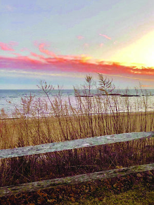 CANVAS Waves Of Amber Grain by Michelle Deegan 30x40 Wall Art ...