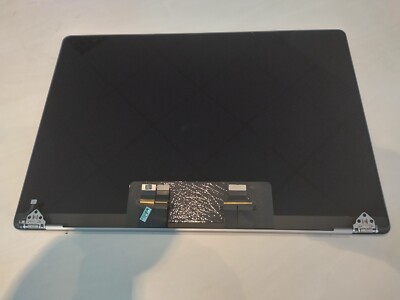 16" Display assembly Bildschirm Apple Macbook pro A2485 grey grau 2021 ...
