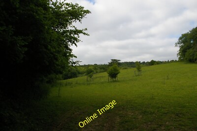 Photo 6x4 View up the side of Etherley Copse Forest Green/TQ1241 c2013 ...