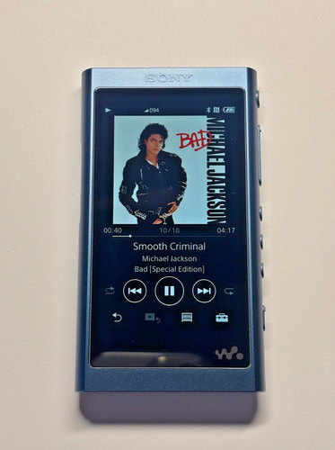 Sony NW-A55 Walkman MP3 Player - Blue + CASE + 256 GB MicroSD - BUNDLE ...