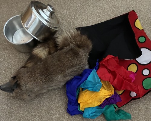 Pro Magic VINTAGE DOVE PAN – PRODUCTION BAG & SILKS & SPRING RACCOON ...