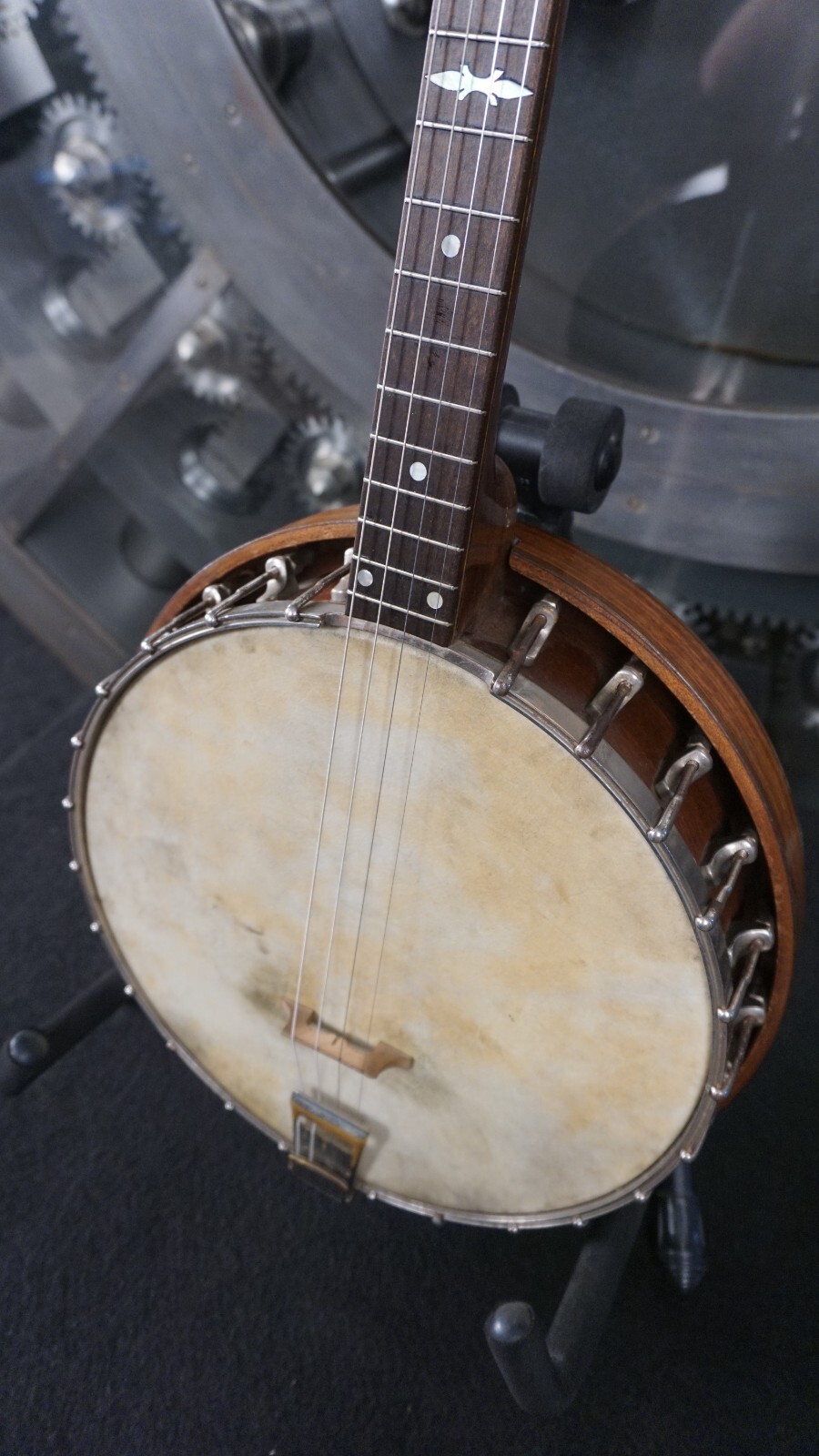 Liberty Tenor Closed Back Banjo w/ Hard Case | eBay