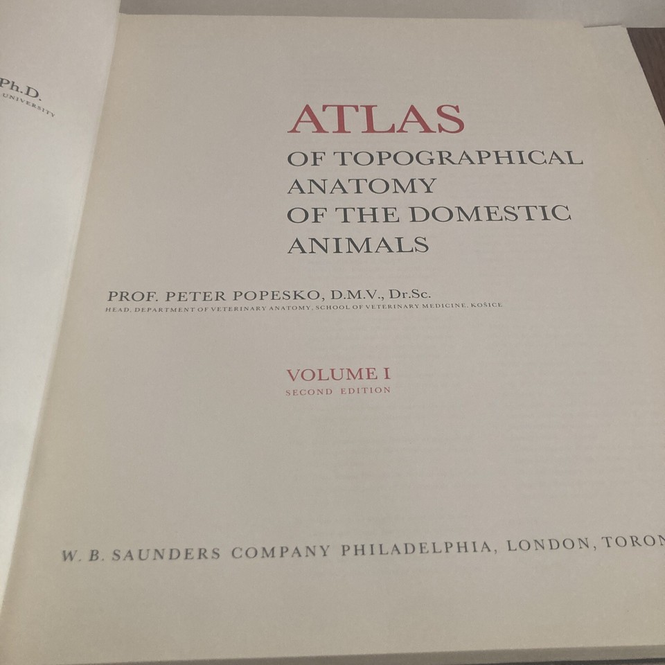 Atlas of Topographical Anatomy of the Domestic Animals 2nd Ed, by Peter ...