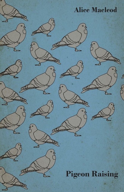 Pigeon Raising von Alice Macleod (2008, Taschenbuch) online kaufen ...