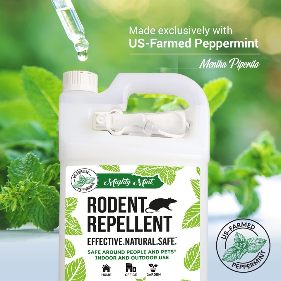 Mighty Mint Gallon (128 oz) Rodent Natural Peppermint Oil Spray | eBay