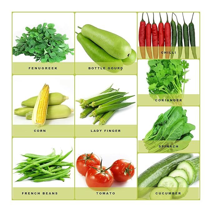 Organic Vegetable Seed for Kitchen Garden 10 Varieties - 900+ Seeds | eBay